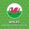 Printable England Football Party Set (World Cup)