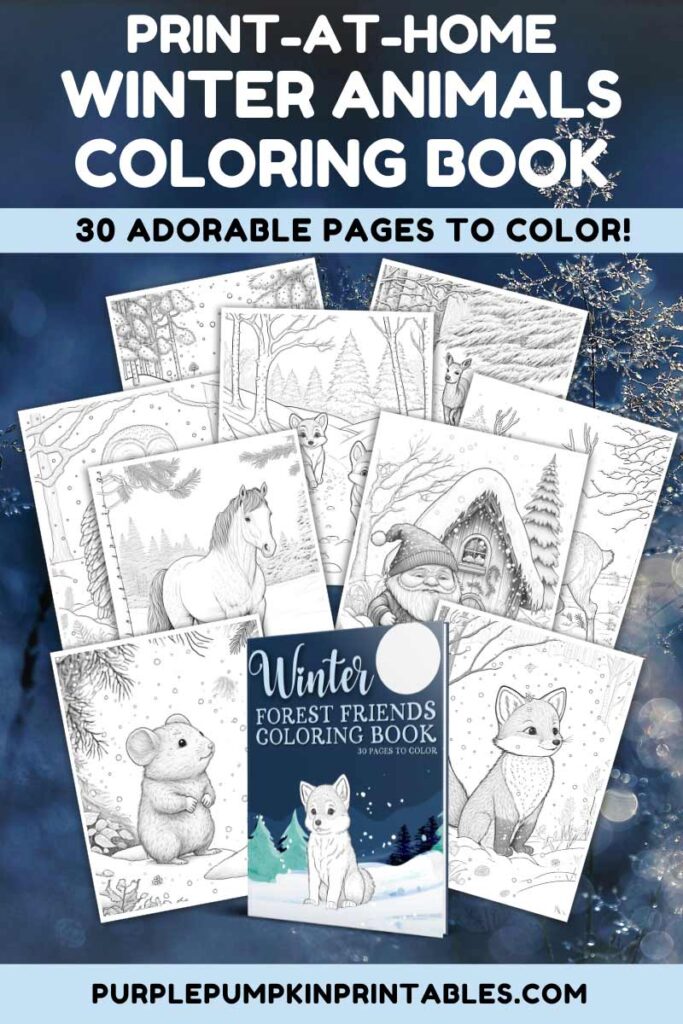 30-Page Printable Winter Forest Friends Coloring Book