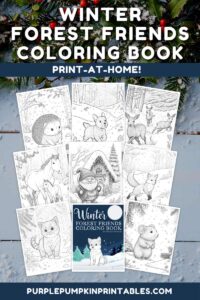 30-Page Printable Winter Forest Friends Coloring Book